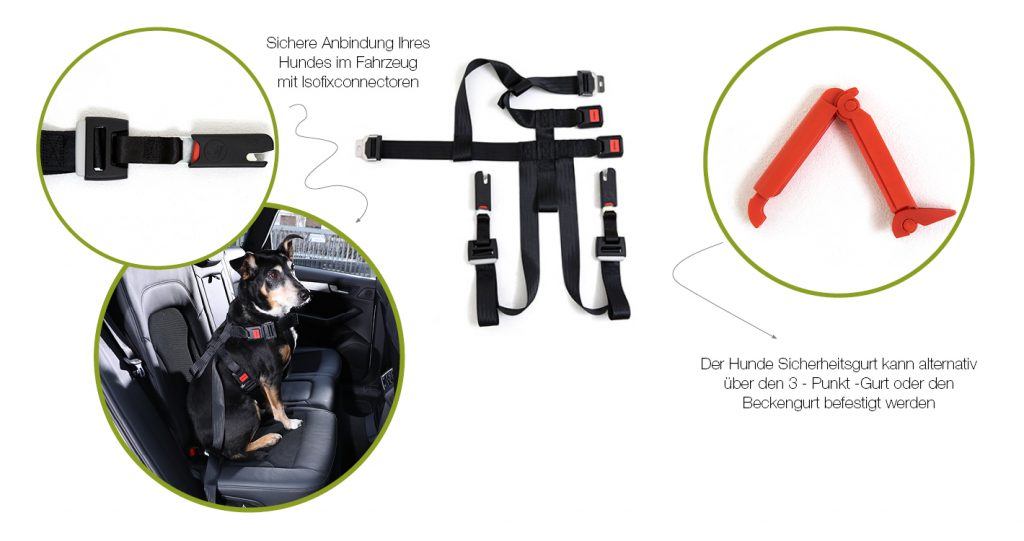 DoggySafe - KFZ Hunde Sicherheitsgurt für große Hunde ab 9 kg.